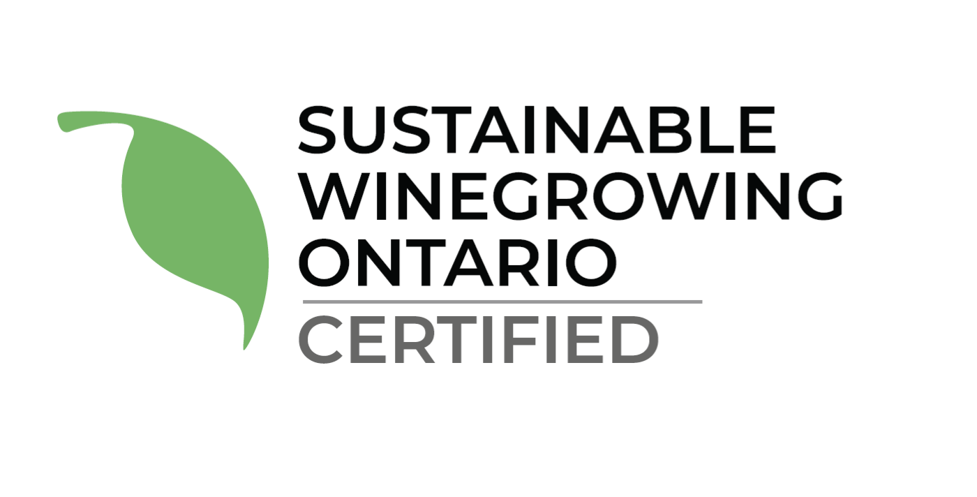 Our Sustainable Vineyards - Ferox by Fabian Reis