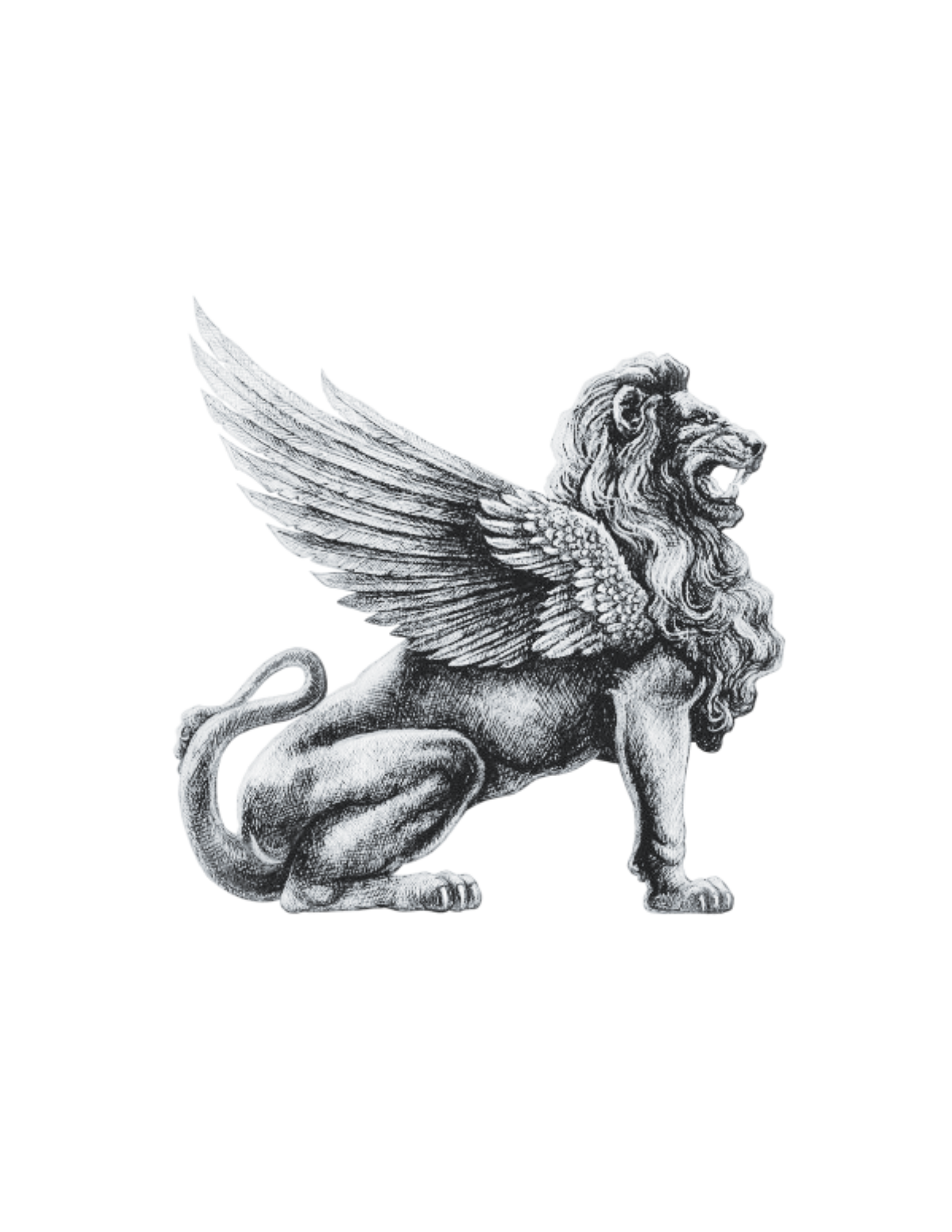 Wine Club - Ferox by Fabian Reis